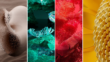 Introducing Future Dusk: The Color Of The Year For 2025