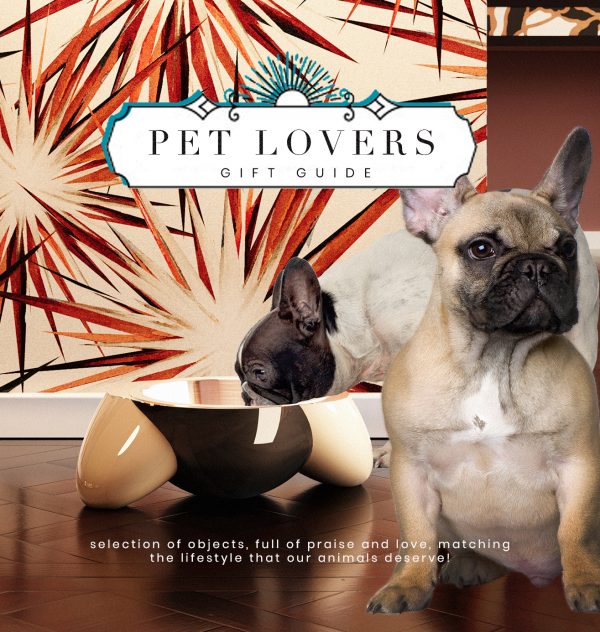 How and Where to Find Stylish Luxury Pet Accessories? | Hommés Studio ...
