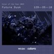 Introducing Future Dusk: The Color Of The Year For 2025