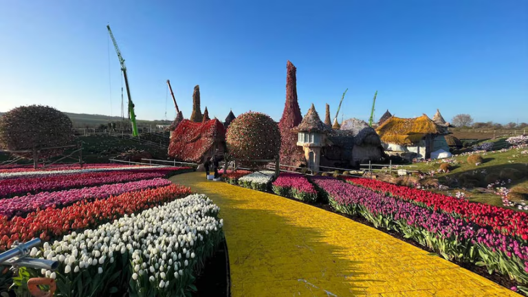 Reimagining Oz: The Set Design Behind The Wicked Movie