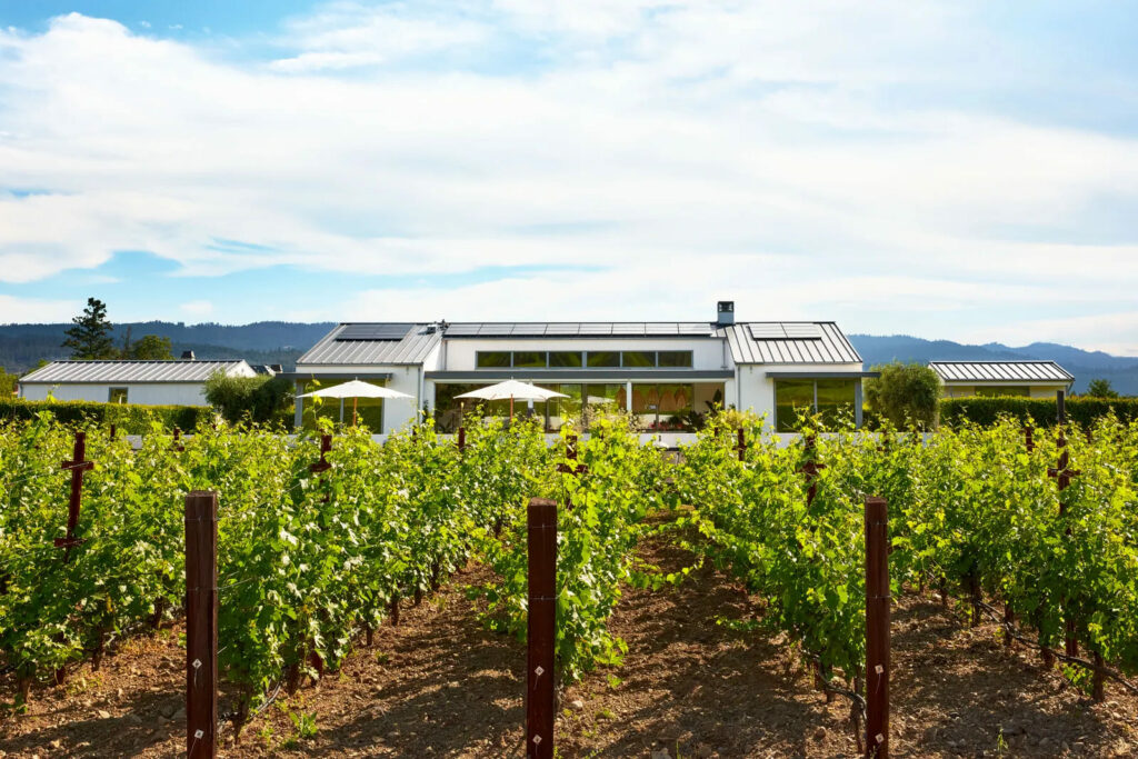 Inside A Colorful Family Home In California